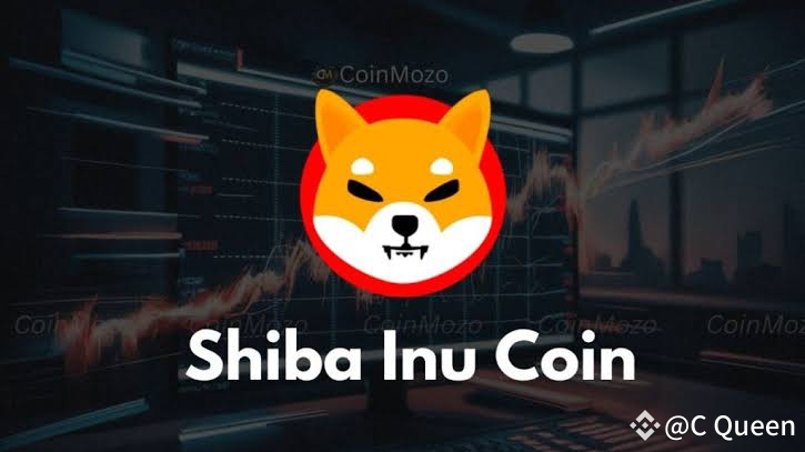 🚀🐶 Shiba Inu Approaching $1? Here’s the Rival That Could Outrun SHIB! 🏆🔥 | C Queen on Binance Square