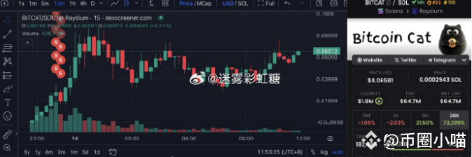 Meme hotspot turns to mascots, $BITCAT soars! Despite the i | 币圈小喵 on Binance Square