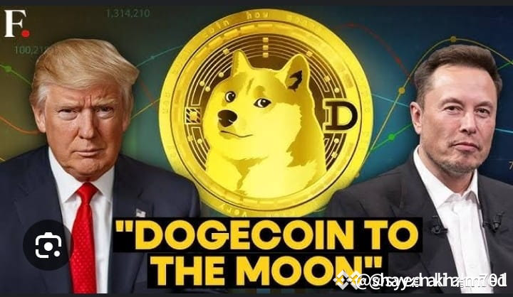 #Binance Dogecoin (DOGE) Price Predictions (2025–2028) Sho | shayan khan 701 on Binance Square