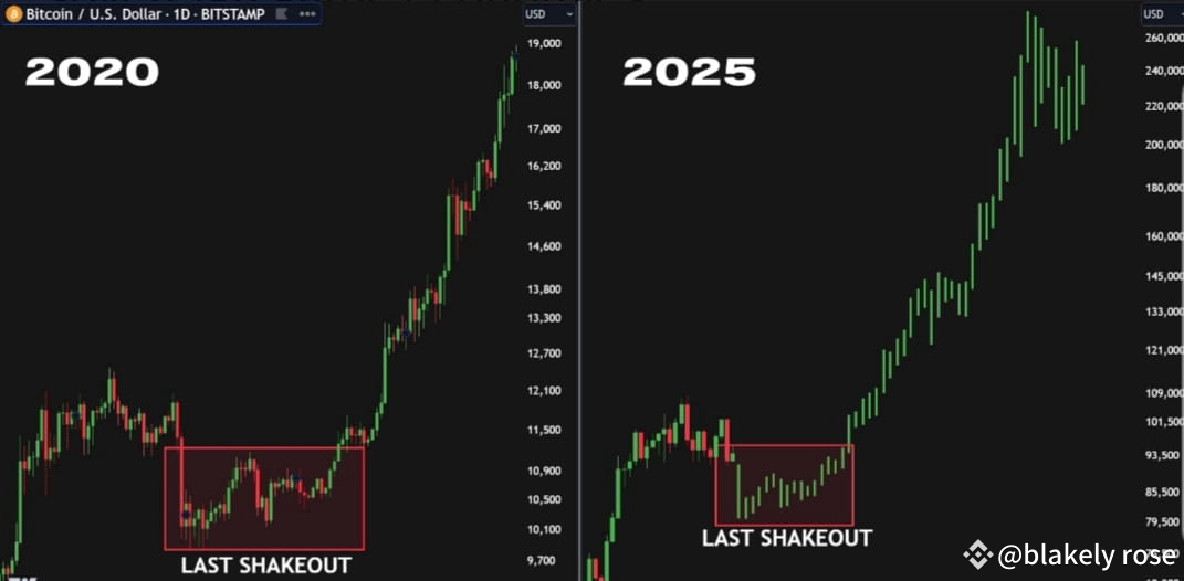 This is the final shakeout, a pattern I've seen in previous | blakely ...