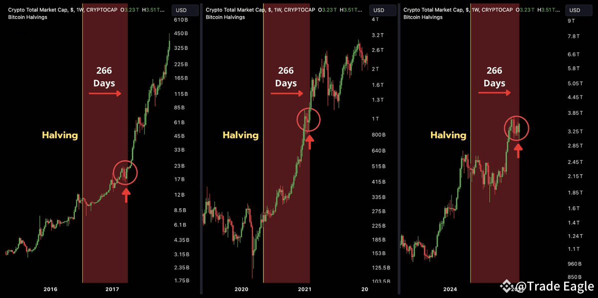 THE TIMING OF THIS #BITCOIN PUMP IS LITERALLY PERFECT. Eve | Trade ...