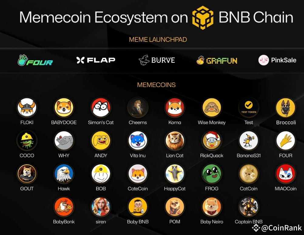MEME coins are exploding on BNB Chain! 💥 🚀 The list of fun | CoinRank ...