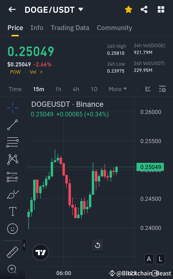 $DOGE /USDT Bull Run Alert! 🔥💯 📌 Current Price: $0.25049 | Blockchain_Beast on Binance Square