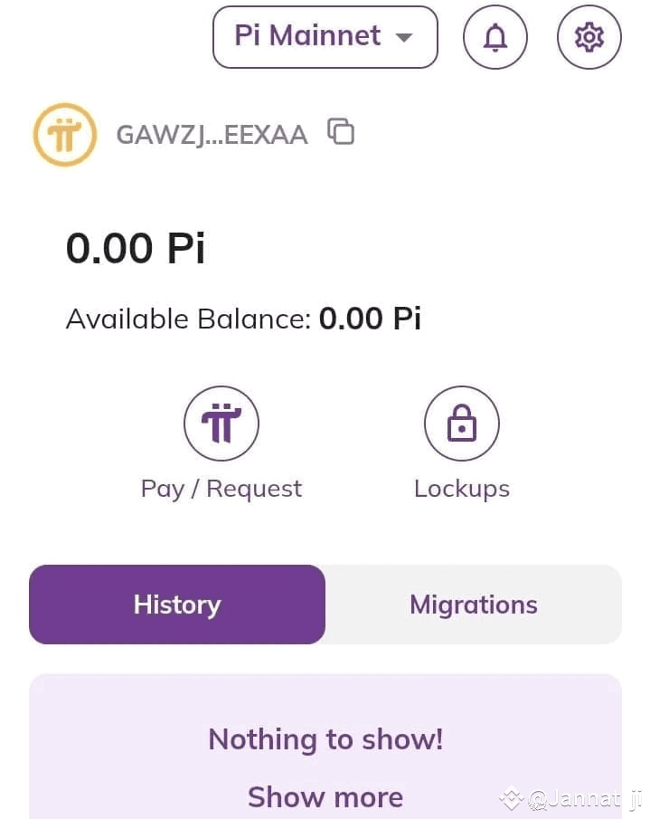 A Lesson Learned: Understanding PI Wallet Migration Issues | Jannat ji ...