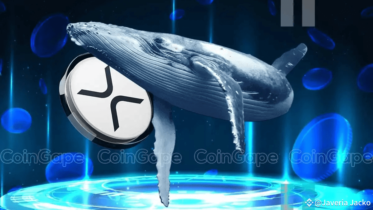 XRP as Ripple whales accumulate the token, sparking speculation that ...