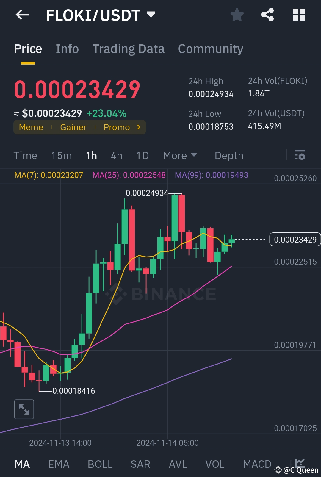 🚀 $FLOKI /USDT Surges Forward: Bullish Energy Building Up! | C Queen on Binance Square