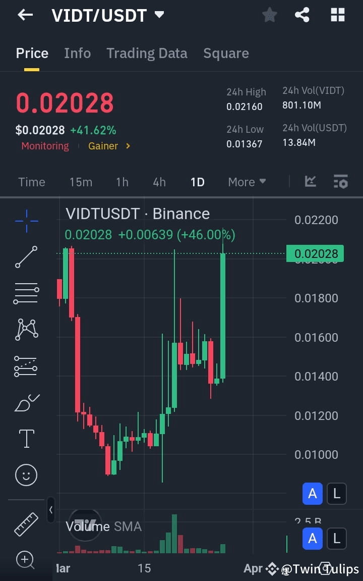 🚀 𝙑𝙄𝘿𝙏/𝙐𝙎𝘿𝙏 𝙎𝙠𝙮𝙧𝙤𝙘𝙠𝙚𝙩𝙨 41% – 𝙈𝙖𝙨𝙨𝙞𝙫 | Twin Tulips on Binance Square