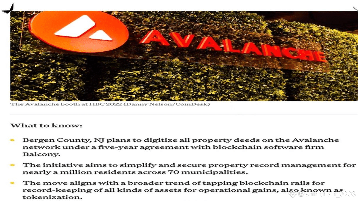 🏘 #AVAX On the Avalanche blockchain, real estate is token | shinchan ...