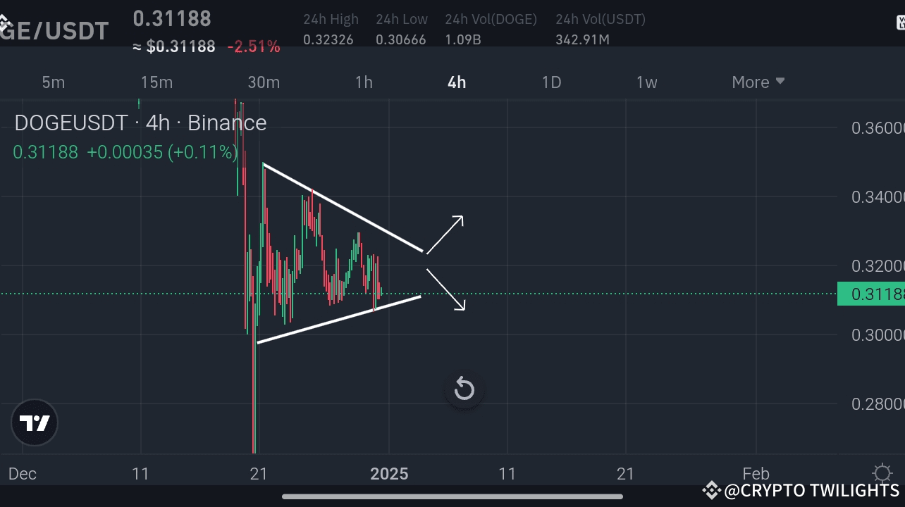 DOGE/COINS ANALYSIS ON CURRENT SITUATION REMARKABLE MOVE 👇🔥👇👇👇🔥 | CRYPTO TWILIGHTS on Binance Square