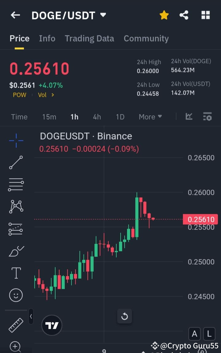 $DOGE /USDT Short Trade Alert 🚨 📉 Current Price: $0.25610 | Crypto Guru55 on Binance Square