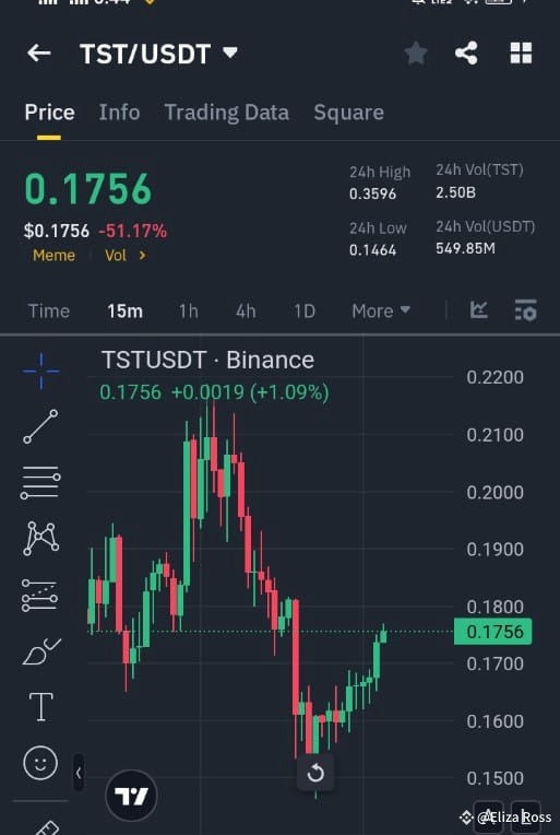 ⚡ $TST /USDT – Wild Swings! Can It Recover? 🚀 Meme Coin Vo | Eliza Ross ...