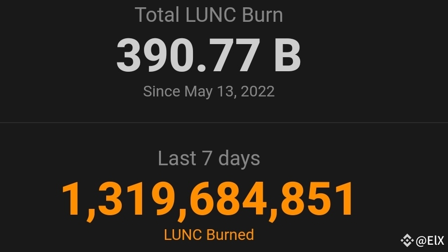 $LUNC total burn for 2024 | ElX on Binance Square