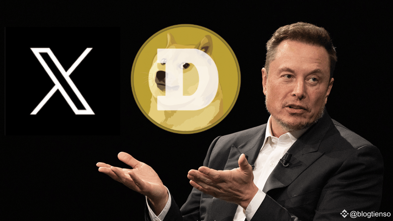 Is Dogecoin part of X Money's 2025 launch plan? | blogtienso on Binance ...