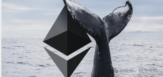Ethereum Mass Exodus! ICO Whales are Fleeing! On-chain faces $300 ...