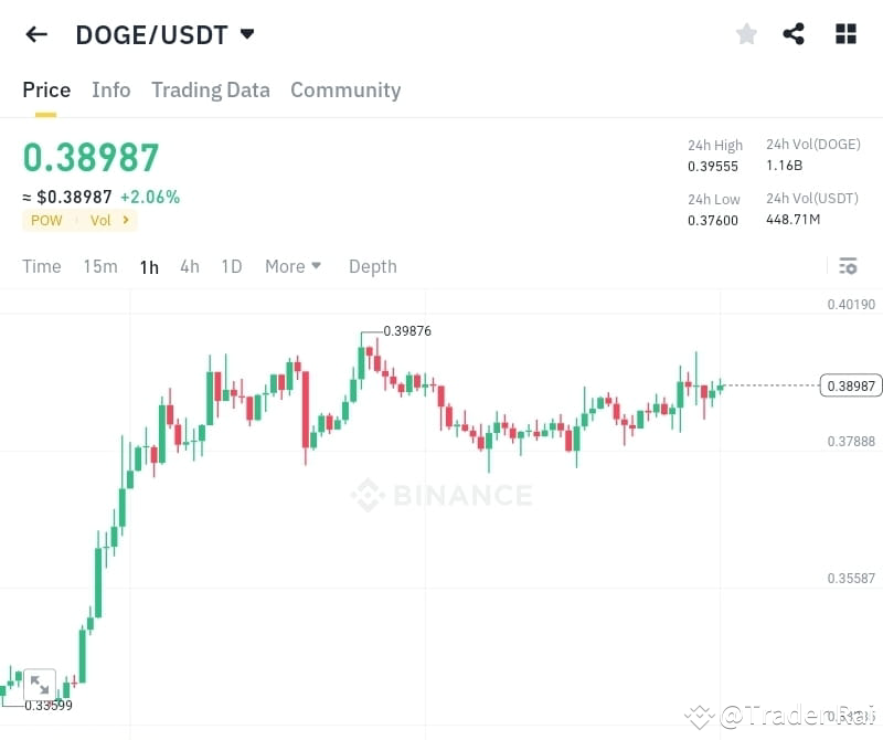 $DOGE /USDT Trading Signal - Consolidation Before the Next M | Trader Rai on Binance Square