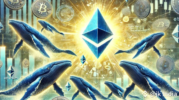 13 Mega Whales Holding Over 10,000 Ethereum Join the Network in 24 Hours Major Accumulation ...