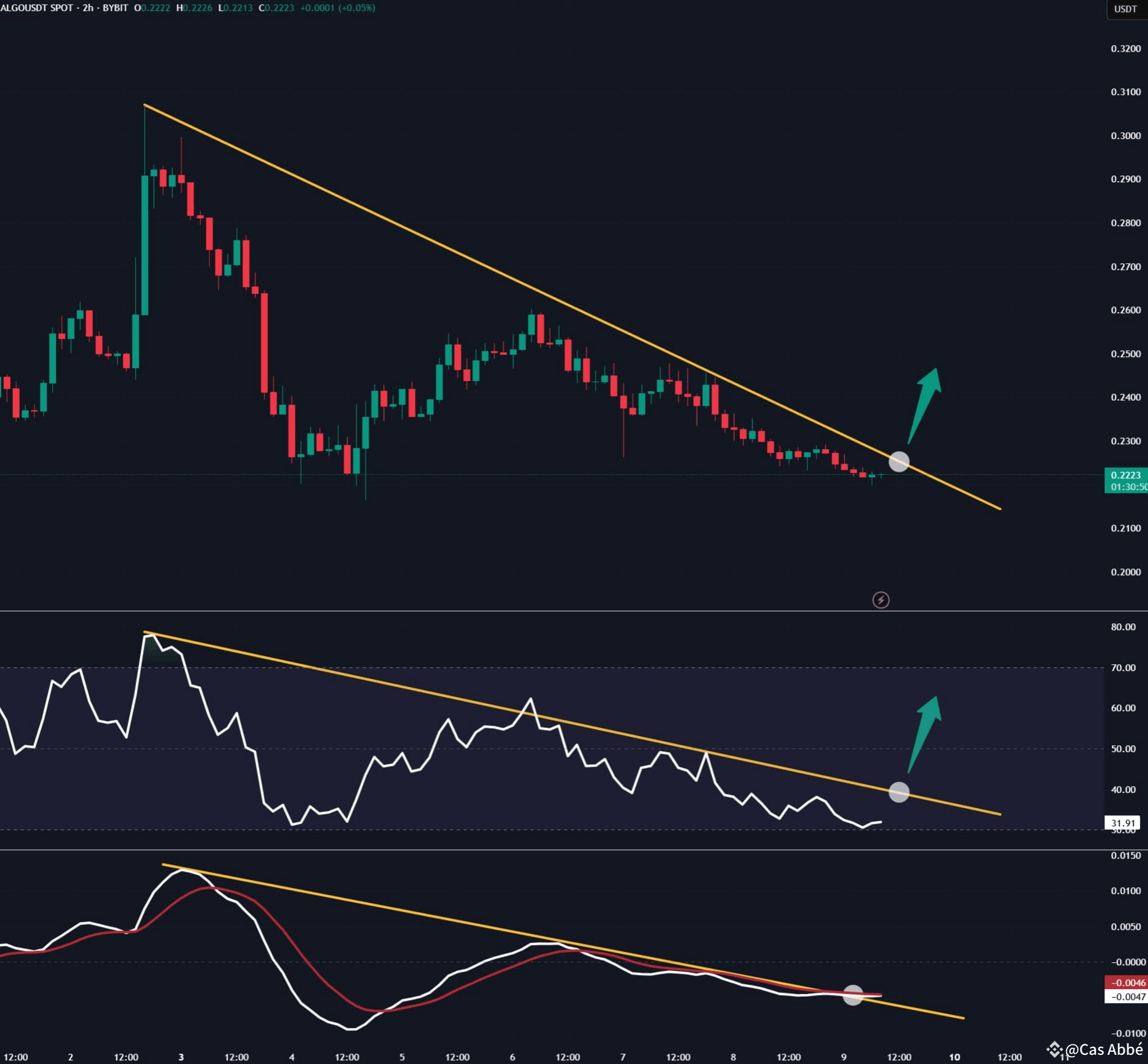 $ALGO RSI has reached the oversold region. The last few tim | Cas Abbé ...