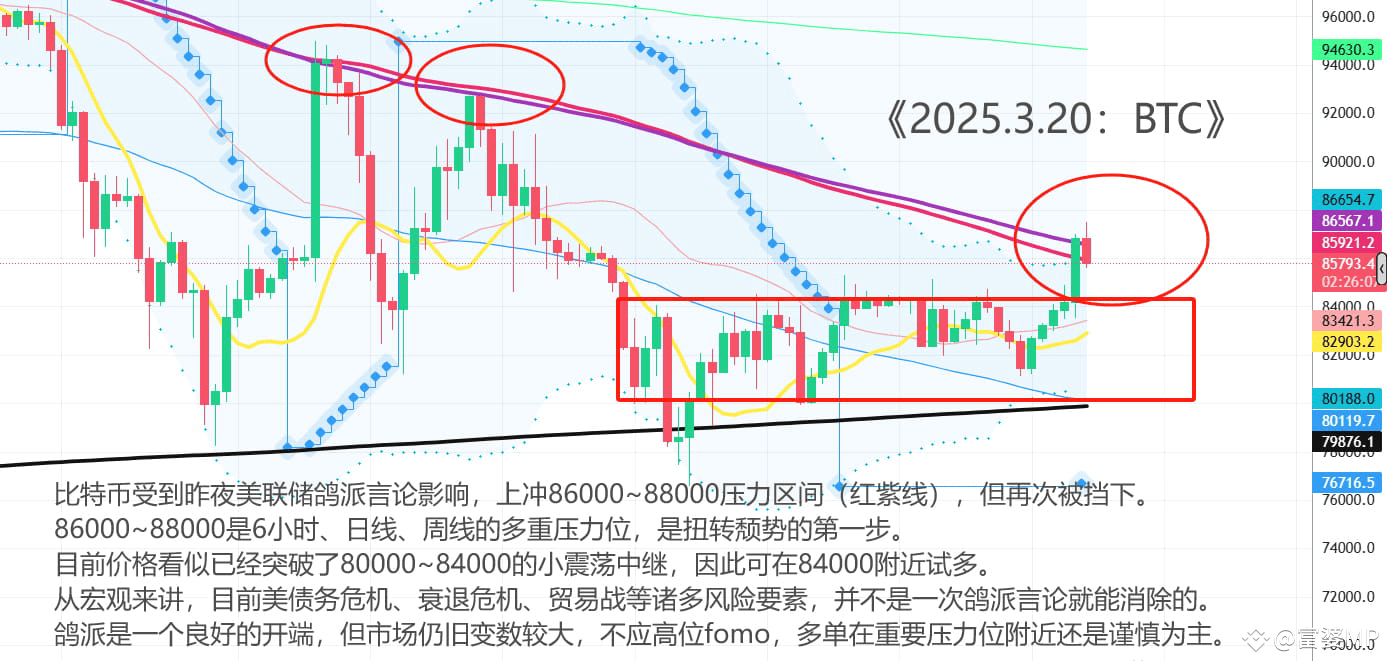 《2025.3.20 BTC》 Bitcoin was influenced by the dovish remarks | 富婆MP on ...