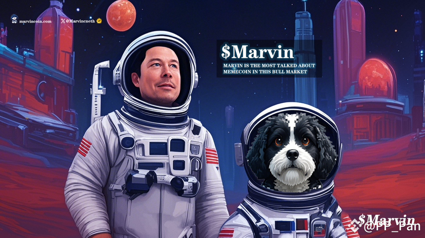 A New Chapter of Musk and DOGE As Elon Musk's key role in | PP_Pan on ...