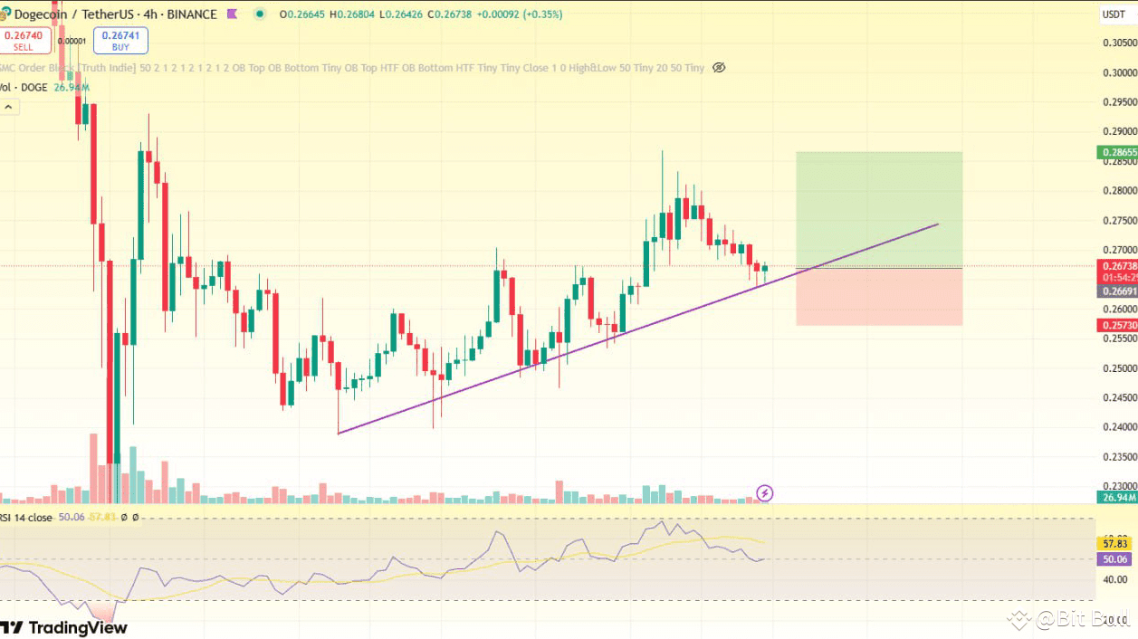 Doge Signal Update | Bit Bull on Binance Square