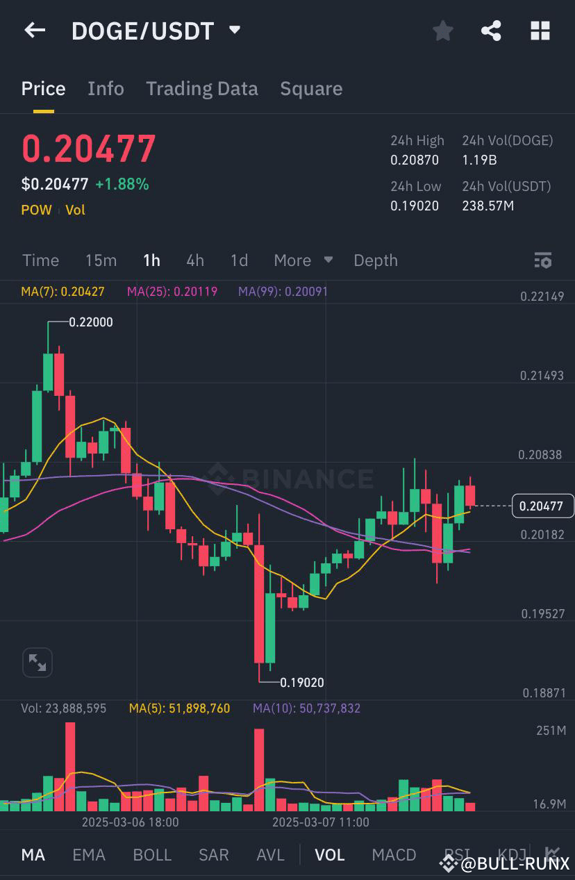 🚀 $DOGE /USDT Market Update 🐶 Current Price: $0.20477 (+1 | BULL-RUNX on Binance Square