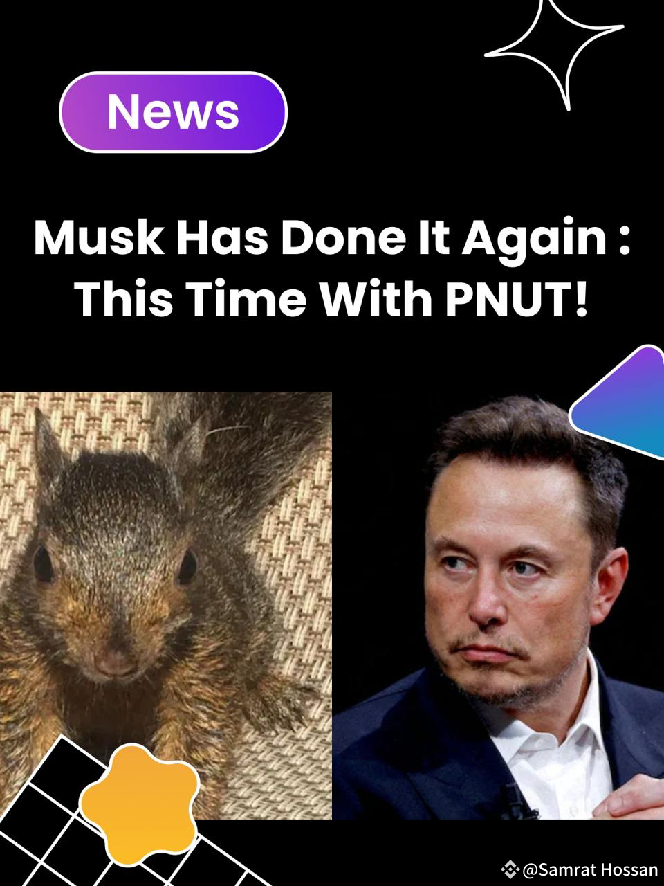 🐿️Peanut the Squirrel (PNUT) hit $130M market cap in 3 days | Samrat Hossan on Binance Square