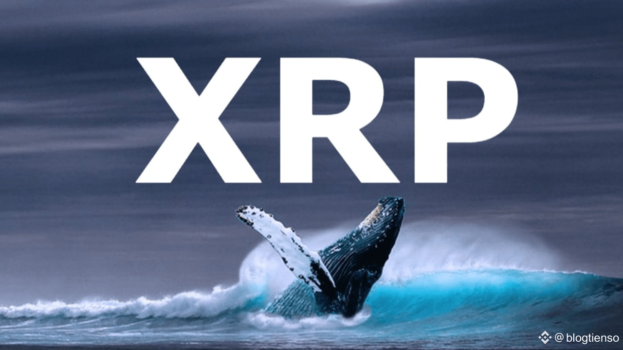 Whale Signal hay Exit? Dự đoán giá XRP sau khi 44 triệu token rời khỏi sàn giao dịch ...