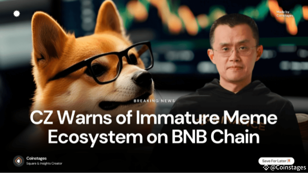 CZ Warns BNB Chain Meme Ecosystem is Immature, Advises Caution in ...