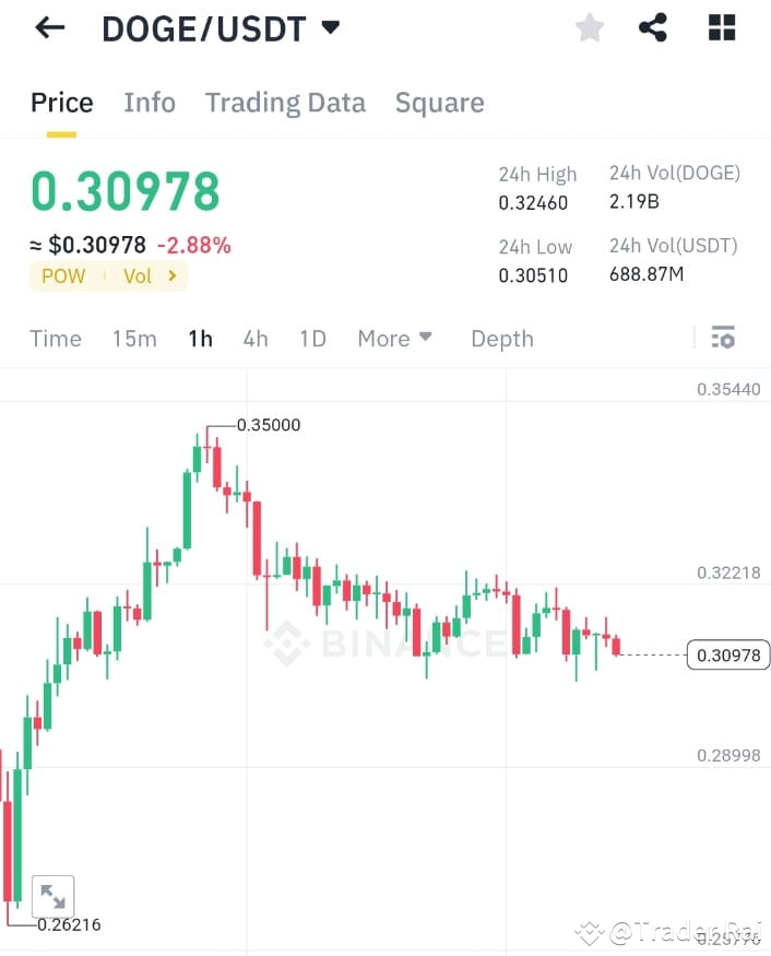 🚀 $DOGE /USDT: Consolidating After a Drop – Is the Reversal | Trader ...