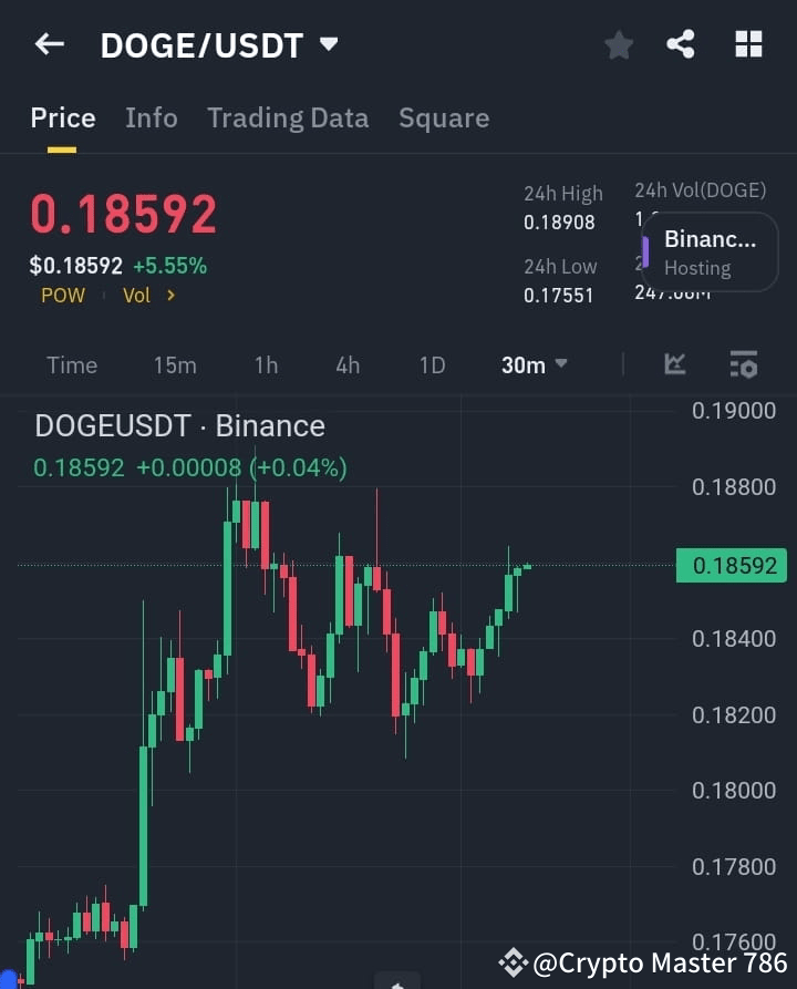 🚀 $DOGE /USDT Bullish Momentum Continues! 🔥 Breakout Watch | Crypto Master 786 on Binance Square