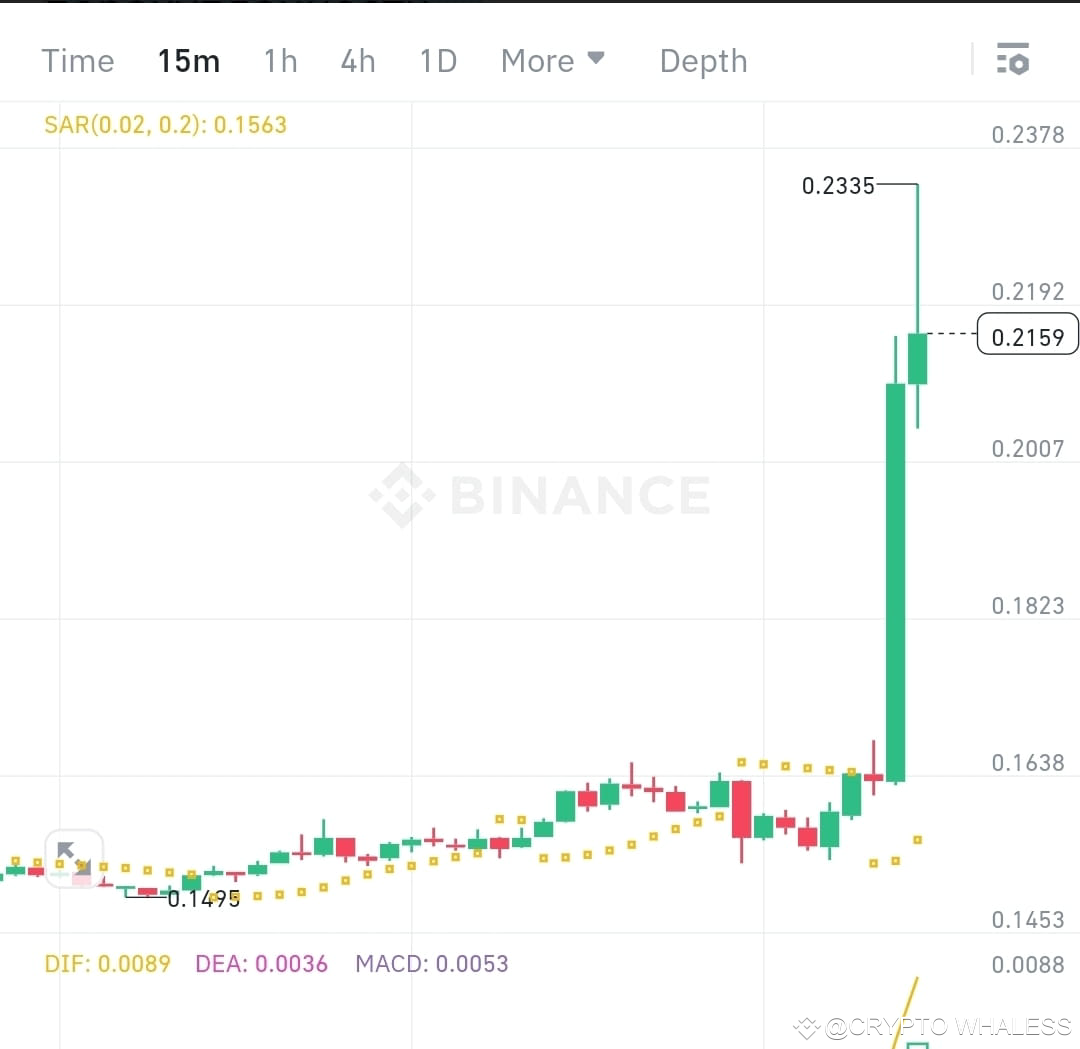 $BAKE /USDT ALERT: MASSIVE BREAKOUT – CAN IT HOLD? Current | CRYPTO WHALESS on Binance Square