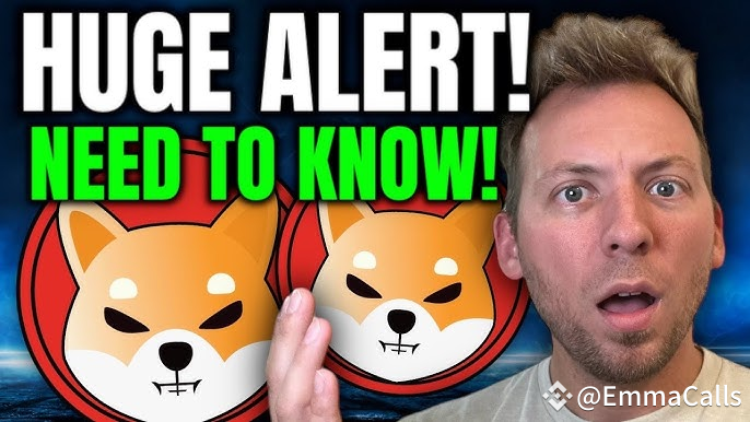 🚨🚨Shiba Inu Leak Alert: Big Moves Ahead for 2M+ Token Holders!🚨🚨 ...