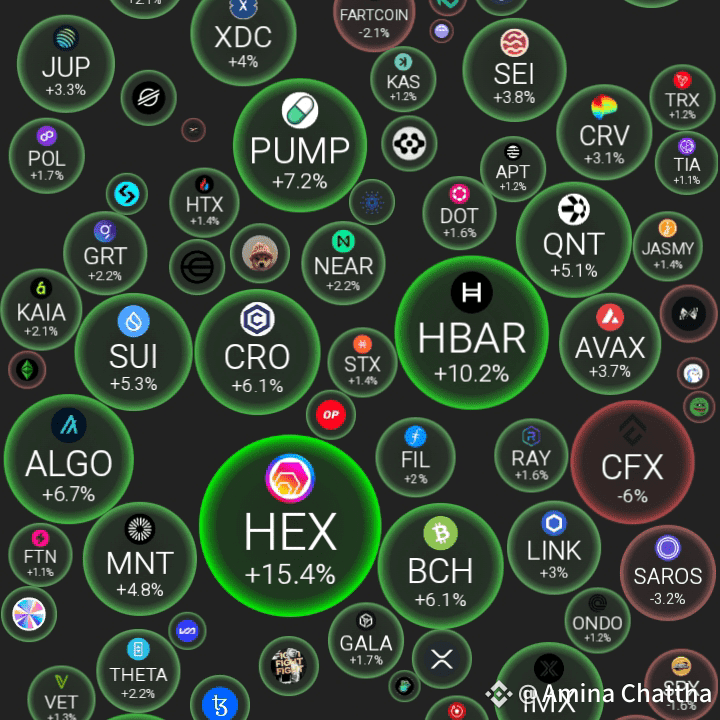 CRYPTO BUBBLES EXPLODE GREEN! Today’s top movers are showin | Amina Chattha on Binance Square