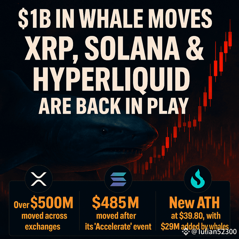 🚨 $1B in Whale Moves / XRP, Solana & Hyperliquid Are Back | Iulian52300 on Binance Square