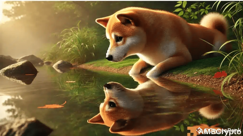 Why DOGE to $0.50 again is not as easy as you may think | CryptoRank on ...