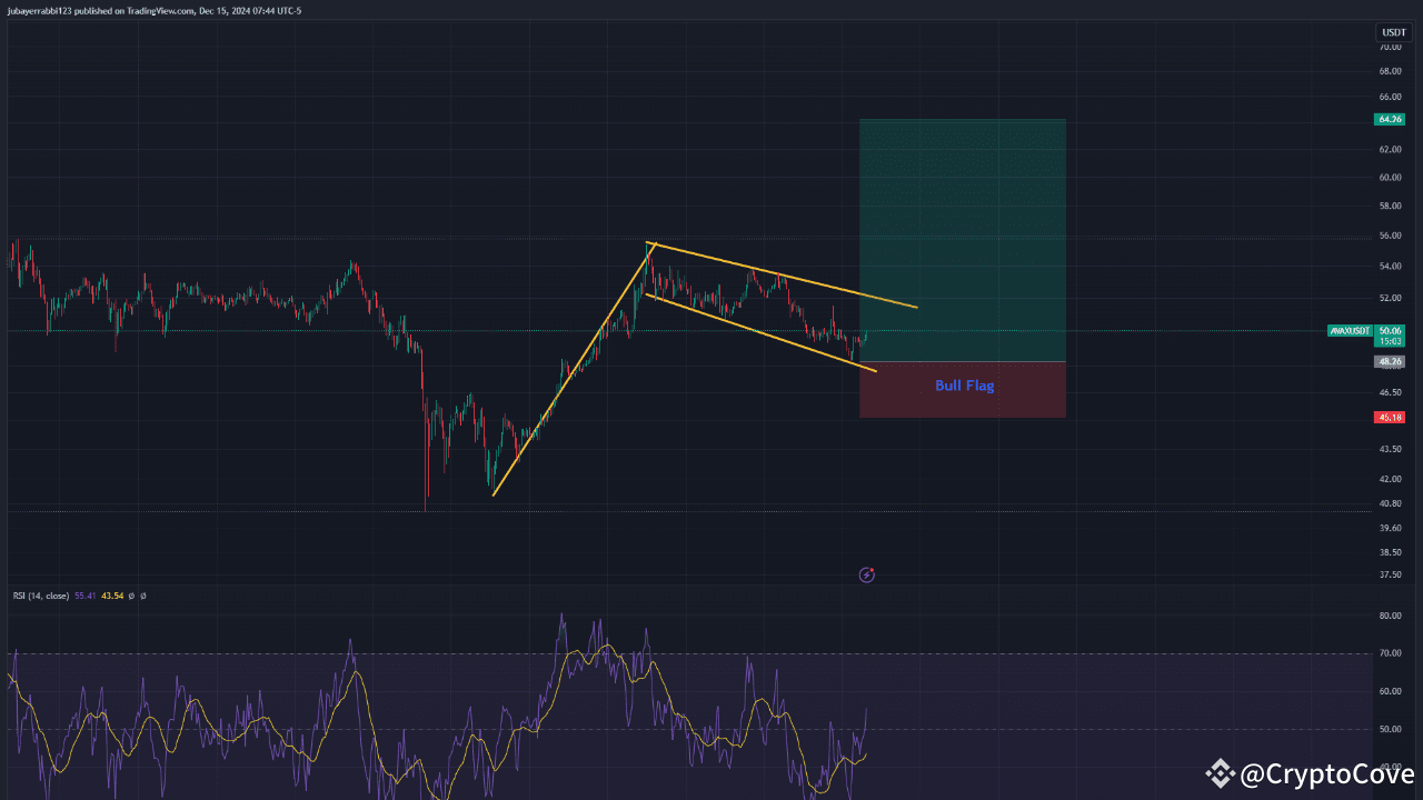 Avax Coi Analysis | CryptoCove on Binance Square