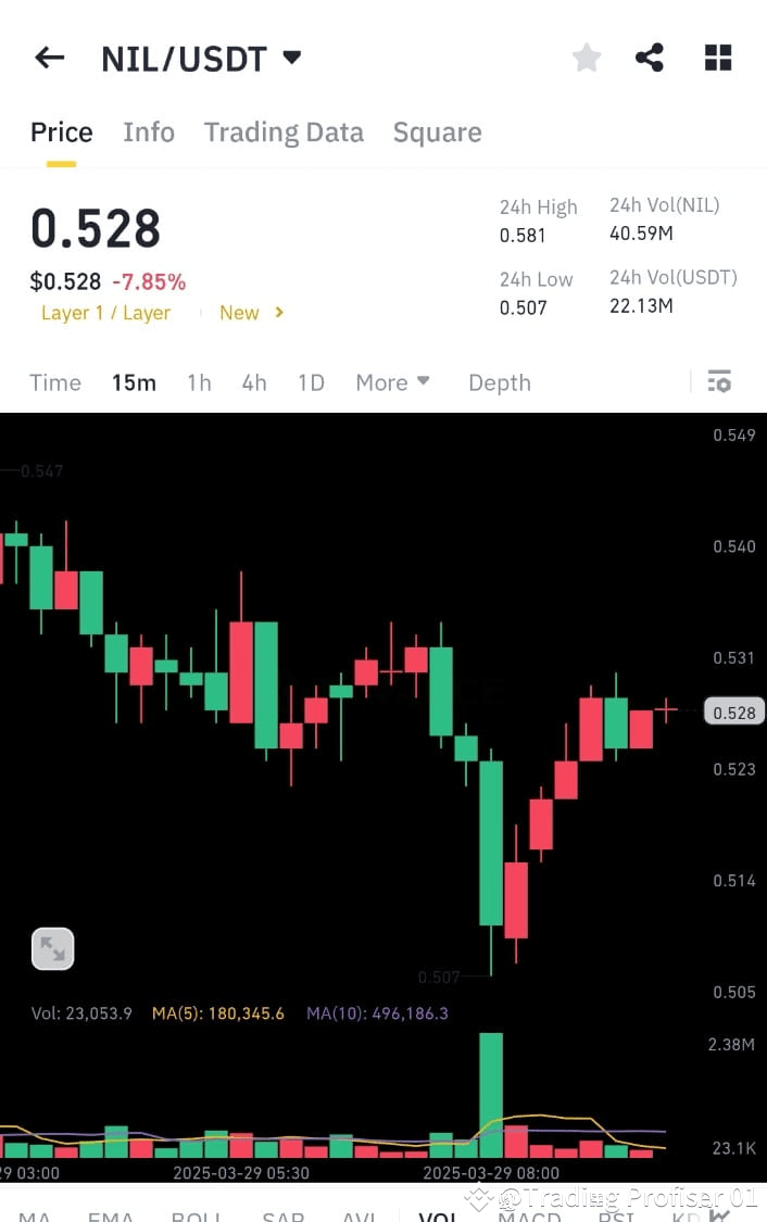 $NIL /USDT – Bearish Pullback, Key Levels in Focus! 📉 Mom | Trading ...
