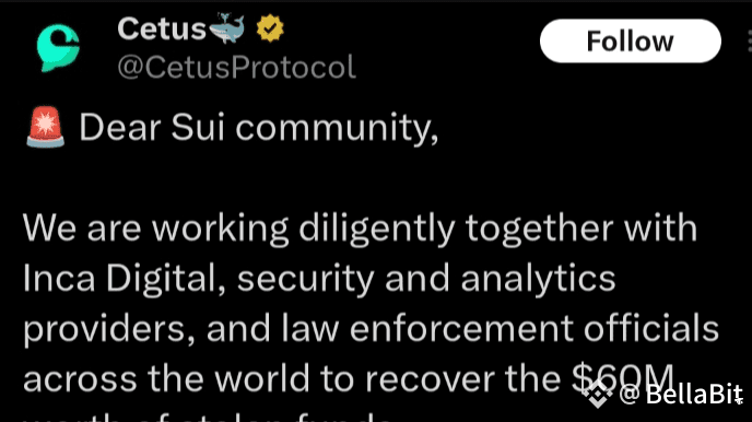 Update on the $SUI Validator Response to the Cetus Attack | BellaBit on ...