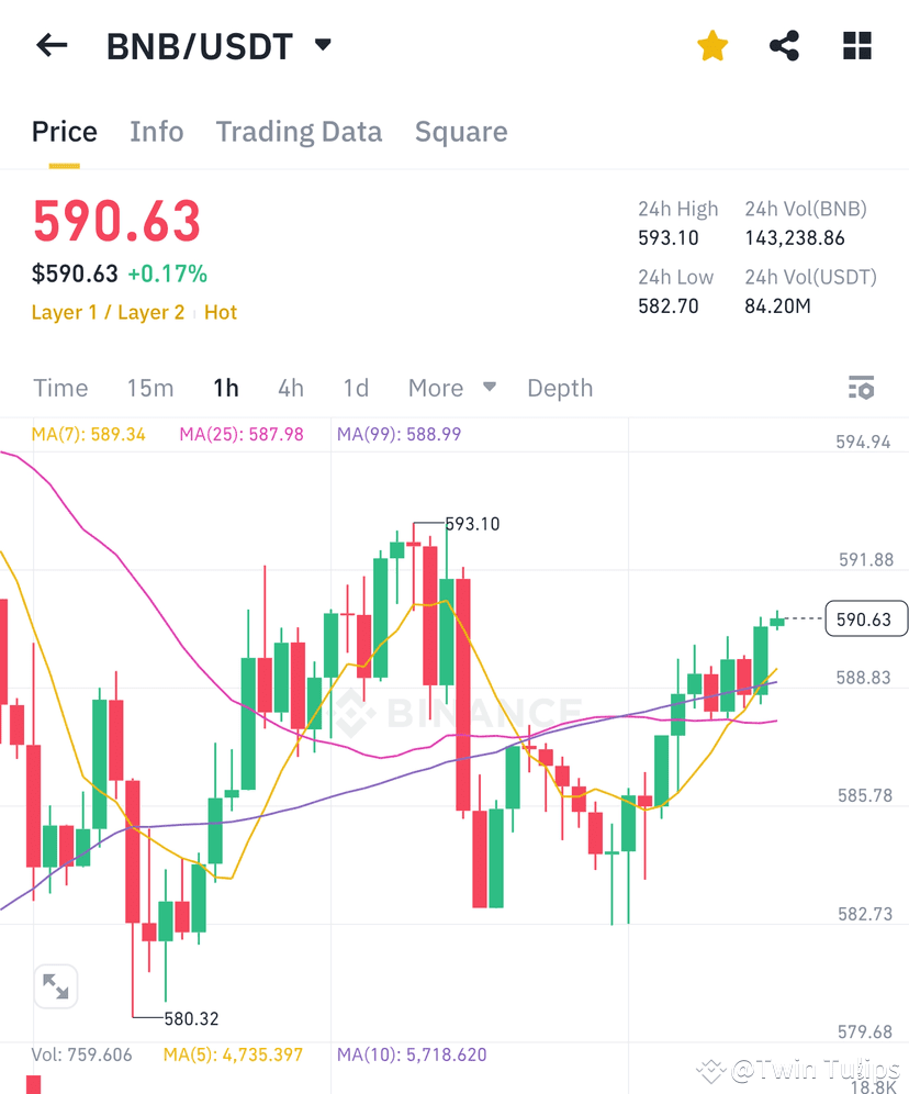 BNB Update – Today’s Signals Price Action: $BNB is holding | Twin Tulips X Web3 Protocol on ...