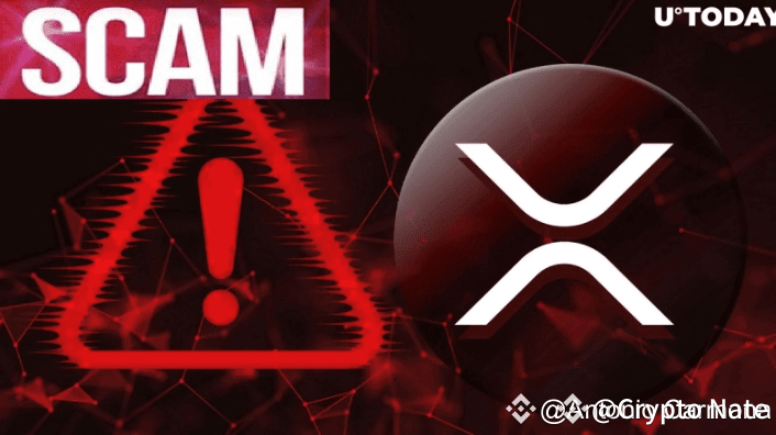 🚨 XRP IS NOT A SCAM! HERE’S WHY YOU SHOULD HOLD ONTO IT!🚨 | Crypto ...