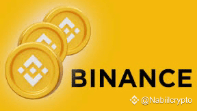 How does the liquidation process work on the Binance platform ...
