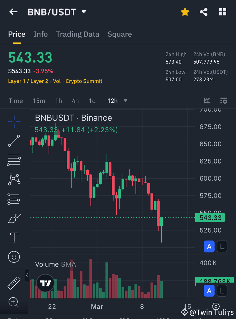 $BNB /USDT 市場更新 – 2025年3月11日 🔸 當前價格: $543.33 (-3.95%) 🔸 24 | 幣安廣場上的 Twin Tulips
