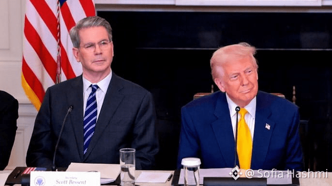 💥 BIG NEWS FOR AMERICANS: watch these coins closely $WCT | Sofia Hashmi ...