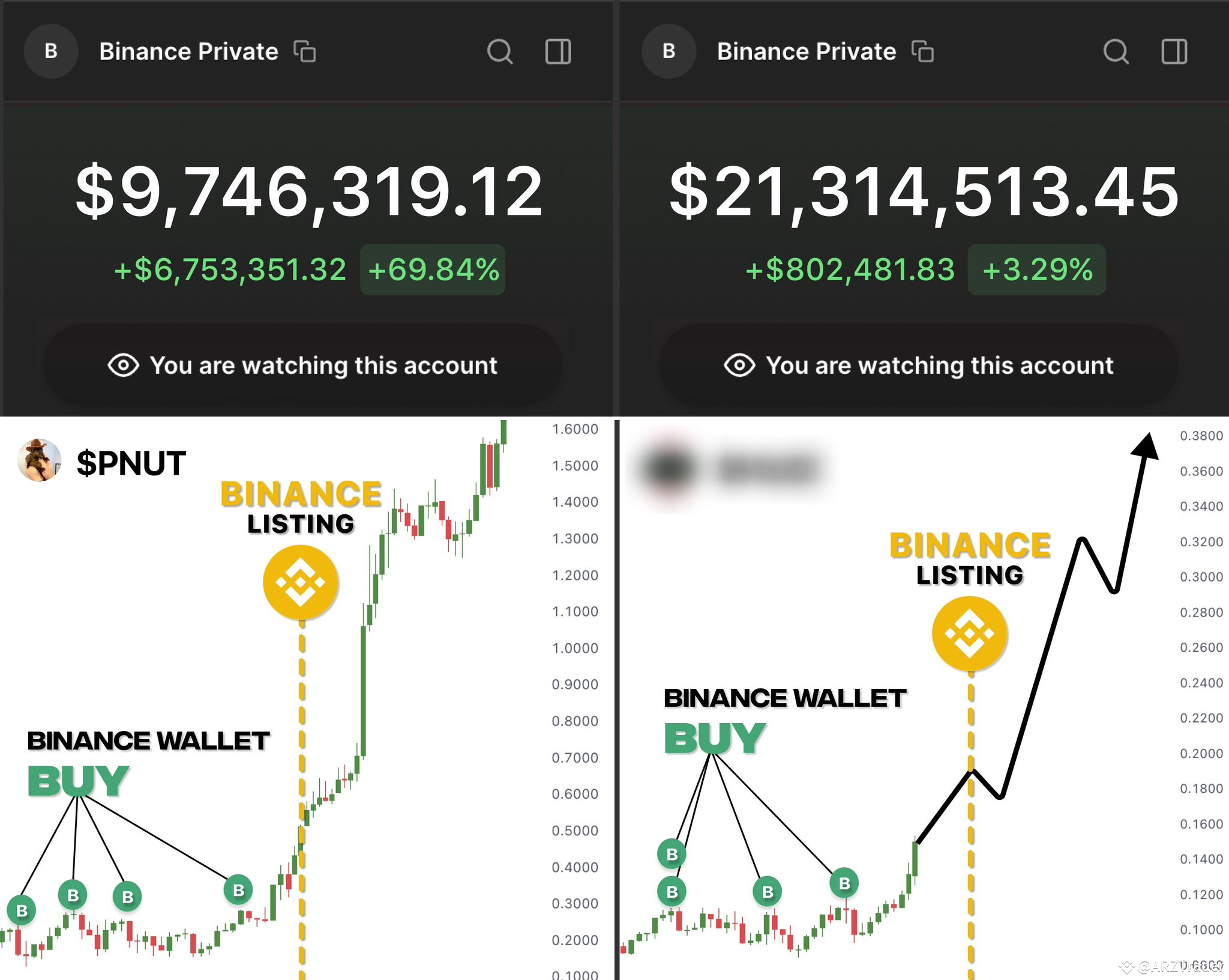 Binance secretly buy memes with this wallet... using it the | ARZTrader ...