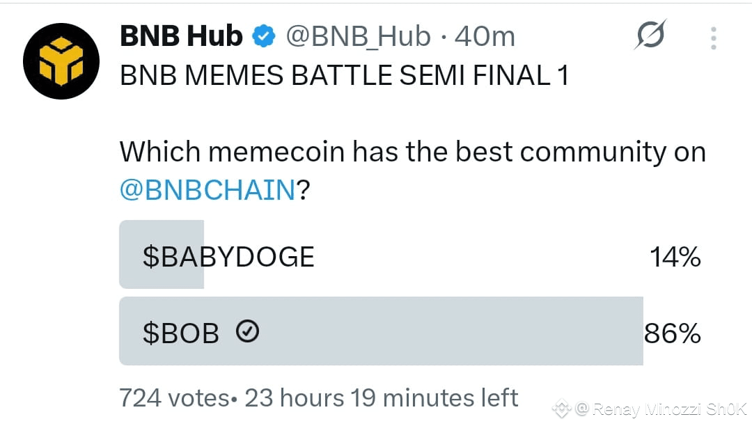 🚀 BOB Token is on Fire! Voting on🤙 BOB isn’t just a meme | Renay ...
