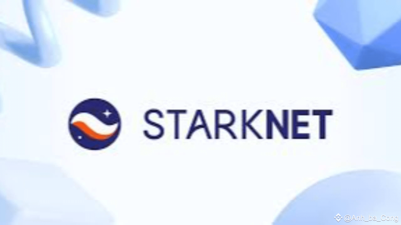 StarkWare Surprises by Accumulating Bitcoin – Ambition to Make Starknet a Layer-2 on BTC | Anh ...