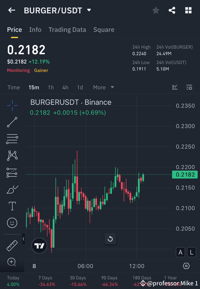 $BURGER /USDT Bull Run Confirmed: Strong Upside Momentum! 💯 | professor Mike 1 on Binance Square