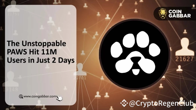 PAWS Listing Date Preperations Attracts 11M Users: What to Expect ...