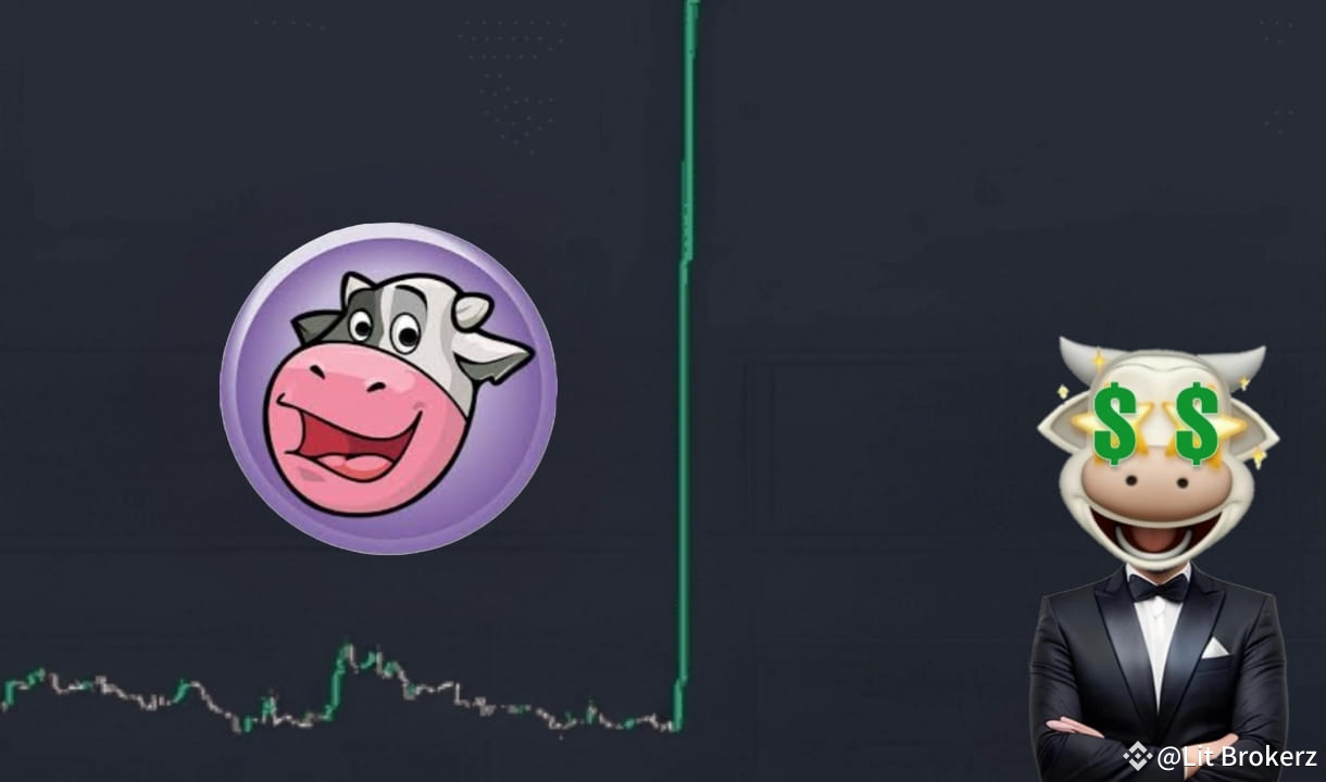 Can a 1,000$ Investment in $COW Make You a Millionaire? | Slayer ...