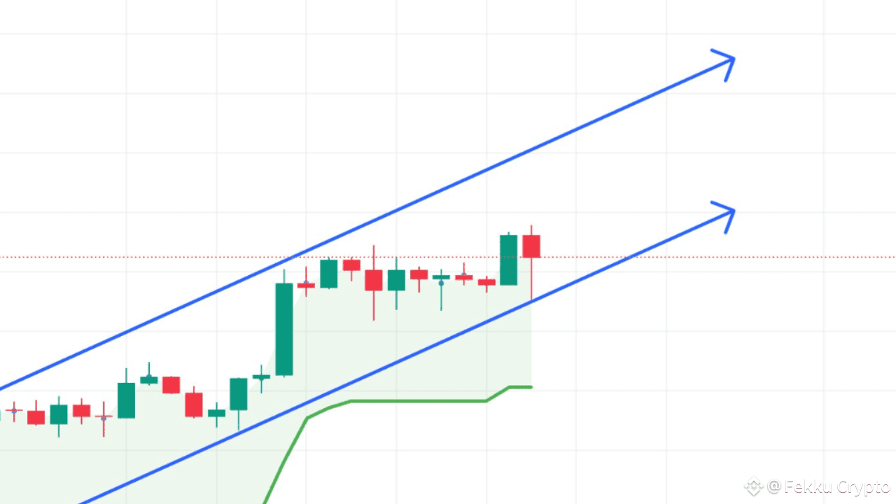 BTC ALERT!! | Fekku Crypto on Binance Square